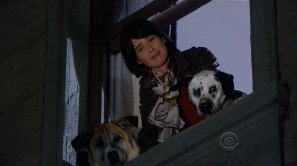 Himym-final_still_tmp | PigmeLaf.